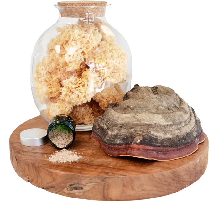 The Beauty Lab by Dr Alkaitis – Dr. Alkaitis Organics